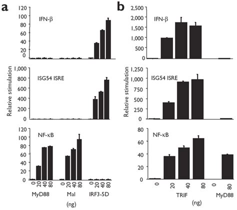 Ikkε And Tbk1 Are Essential Components Of The Irf3 Signaling Pathway Nature Immunology