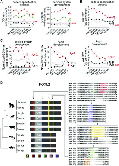 Dynamically Evolving Associations Of Aars With Dp Functions A C