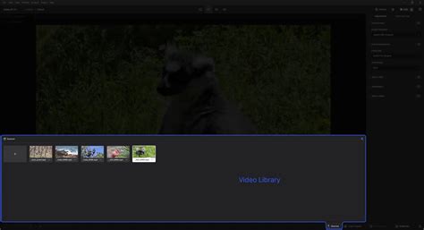 Importing Previewing And Exporting Topaz Video Ai
