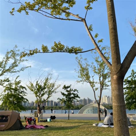 여의도 한강공원 3주차장 돗자리 대여 교촌치킨 뽀글이 꿀팁과 편의점 위치까지 네이버 블로그