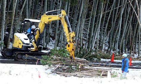 中間貯蔵施設検討、中国電力が山口県上関町の自社所有地で森林伐採始める【動画あり】47news（よんななニュース）