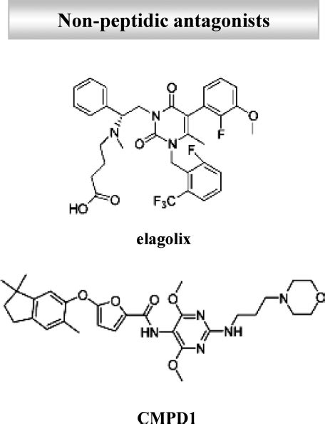 Chemical Structure Of Two Nonpeptidic Gnrh Antagonists Download