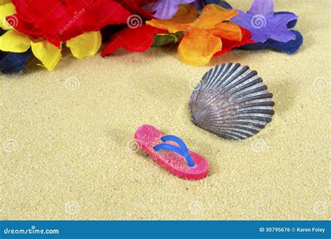 Sandalia De La Playa Con Shell Y Las Flores Tropicales Foto De Archivo Imagen De Océano Flor