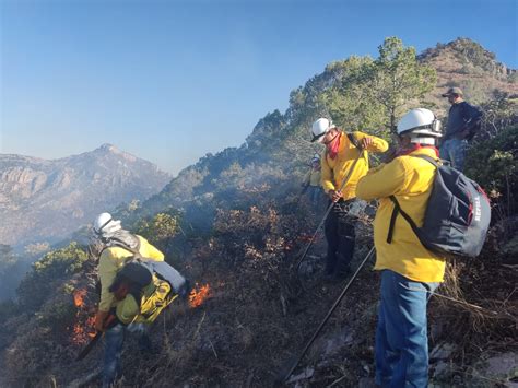 No Hay Incendios Forestales En La Entidad Norte De Chihuahua