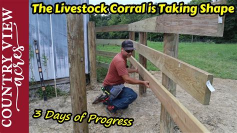 Building The Livestock Loading Chute And Sheep Sorting Gate The