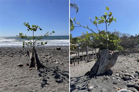 Daniel Enescu On Linkedin Entrepreneurship Frappedigital