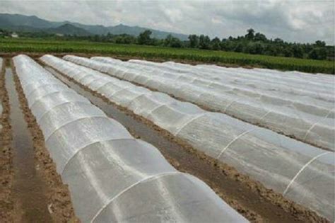 Home Mesh Fabrics Anti Insect Mesh