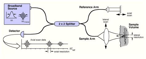 A Guide To Oct Learn And Share Leica Microsystems