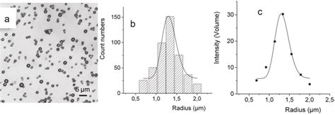 Optical Micrograph Of Microbubbles Prepared From Dispersions Of Dmpc
