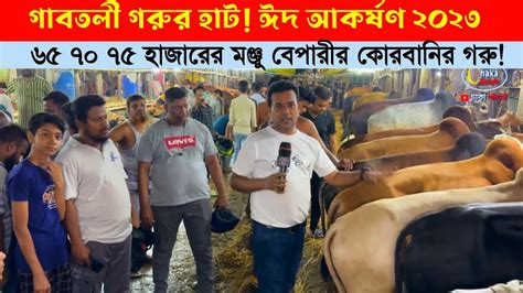 ৬৫ ৭০ ৭৫ হাজারের কোরবানির গরুগাবতলী গরুর হাট 2023 Youtube