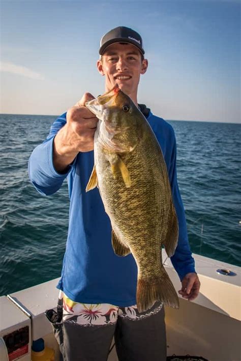 Big Water Summer Bass Fishing Techniques Slow Fishing For Shallow And
