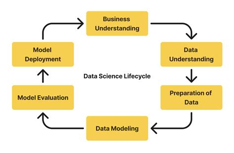 Data Science Lifecycle