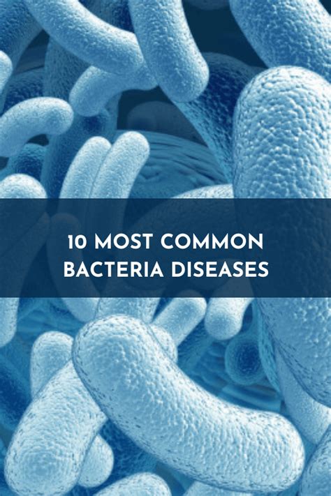 10 Diseases Caused By Bacteria And Their Symptoms