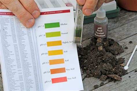 Soil Ph Scale