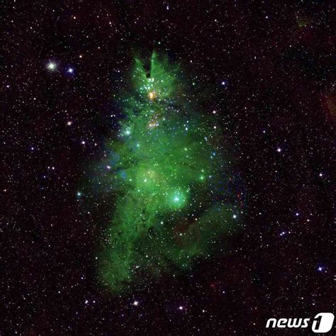 우주가 장식한 크리스마스 트리조명 대신 반짝이는 별