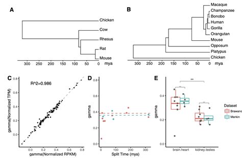 Correlated evolution in gene expression 知乎