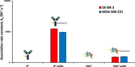 Association Rate Constants Ka Of Unconjugated Rituximab R Single