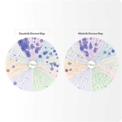 Integrated Kinase Discovery Services Reaction Biology