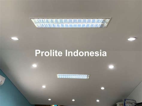 Promo Kap Lampu Rm Fitting Tl T Neon Led Tube Cm X W Custom Prolite Diskon Di Seller