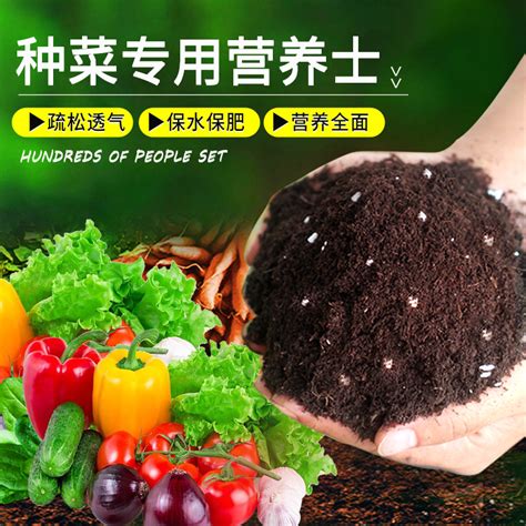 Special Nutrient Soil For Planting Vegetables Organic Fertilizer