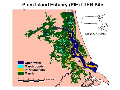 Improving Marine Ecosystem Models Use Of Data Assimilation