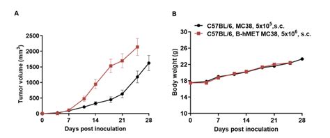 Human Met Mc38 Cell Lines Biocytogen