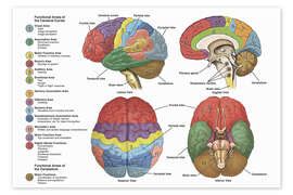 Science Photo Library Posters And Prints Posterloungeie
