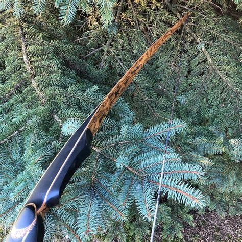 impala supreme on its way to maryland java man archery