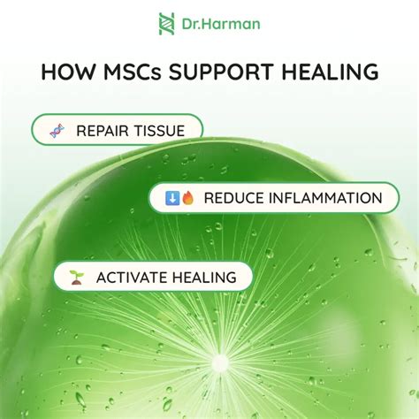 Msc Stem Cell Therapy