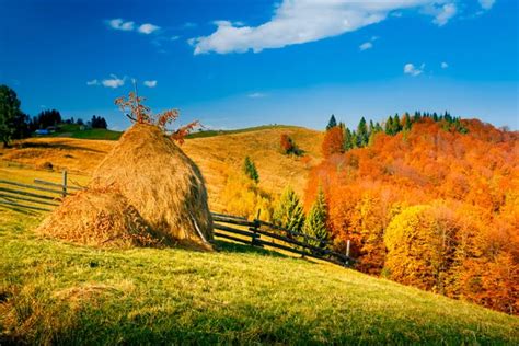 Природа україни картинки стокові Природа україни фотографії