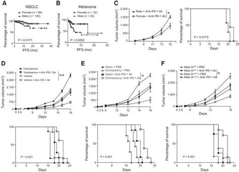 Androgen Signaling Contributes To Sex Differences In Cancer By