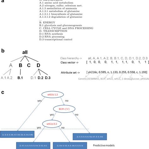 Example Of A Hierarchy A A Part Of The FUN Hierarchy 7 B An