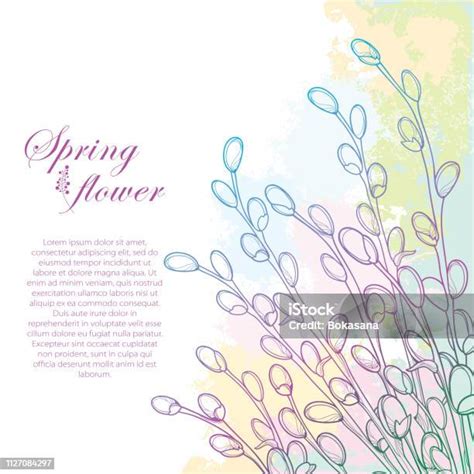 벡터 모서리 꽃다발 개요 버드 나무와 파스텔 블루와 질감된 흰색 바탕에 분홍색에 잔 가지 갯버들에 대한 스톡 벡터 아트 및 기타 이미지 갯버들 0명 개화 Istock