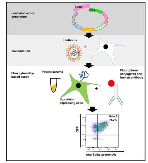 Id Labs Pathogen Flow Platform