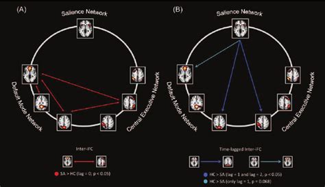 Between Group Differences Of Both Inter Network Intrinsic Functional