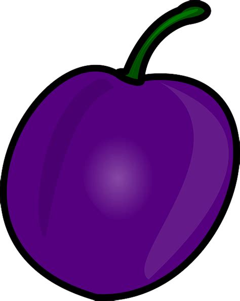Free Vector Graphic Prune Plum Purple Fruit Fresh Free Image On