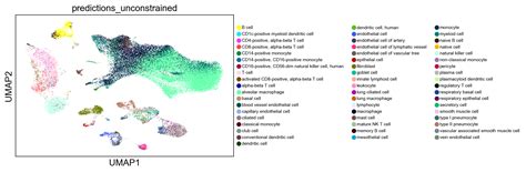 Annotating Cell Types — Scimilarity 040 Documentation