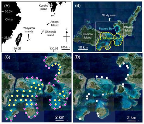 Broad Scale Spatial Distribution Microhabitat Association And Habitat Partitioning Of