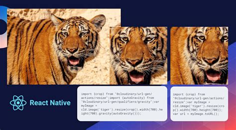 Managing Image Programmatically With Cloudinary — React Native