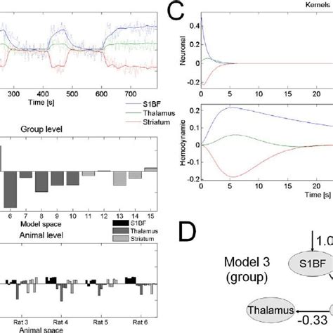 Dynamic Causal Modelling A Example Showing How Dcm Model 1 Fitted