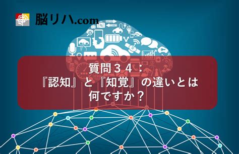 質問34認知と知覚の違いとは何ですか 脳リハ 脳リハドットコム 脳卒中 脳梗塞 パーキンソン病 リハビリ情報