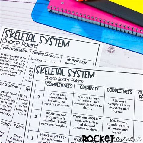 Skeletal System Classroom Unit The Rocket Resource