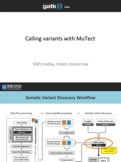 Gatkwr8 S 3 Variant Calling With Mutect Pdf Sensitivity And