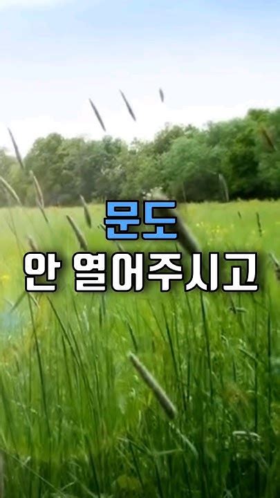 시어머니가 5천만원을 주신 이유 Youtube