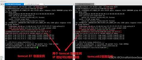 12 Docker 网络bridge，host，none，container，自定义网络配置操作详解 知乎