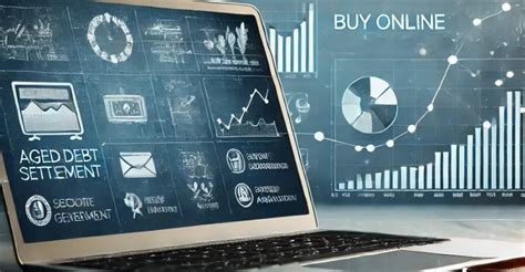 Aged Debt Settlement Leads The Live Lead