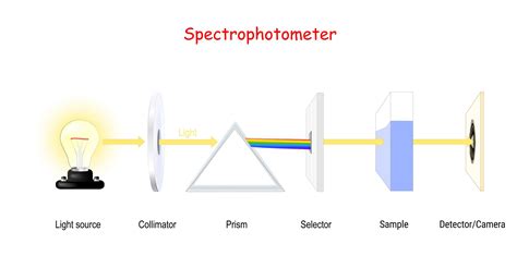 How A Spectrophotometer Works Diagram