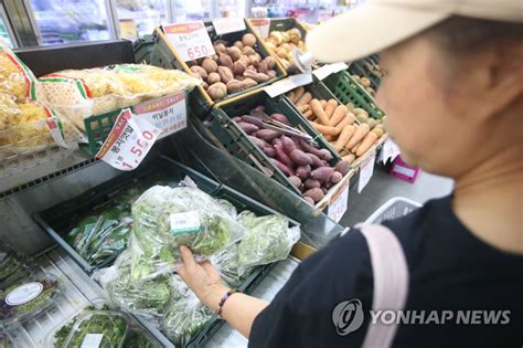 채소 가격 보는 시민 연합뉴스