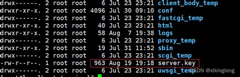 nginx自签名证书的配置 nginx自签证书 csdn博客