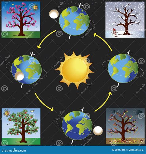 Seizoenen Stock Illustratie Illustration Of Zuiden Seizoenen 30217815